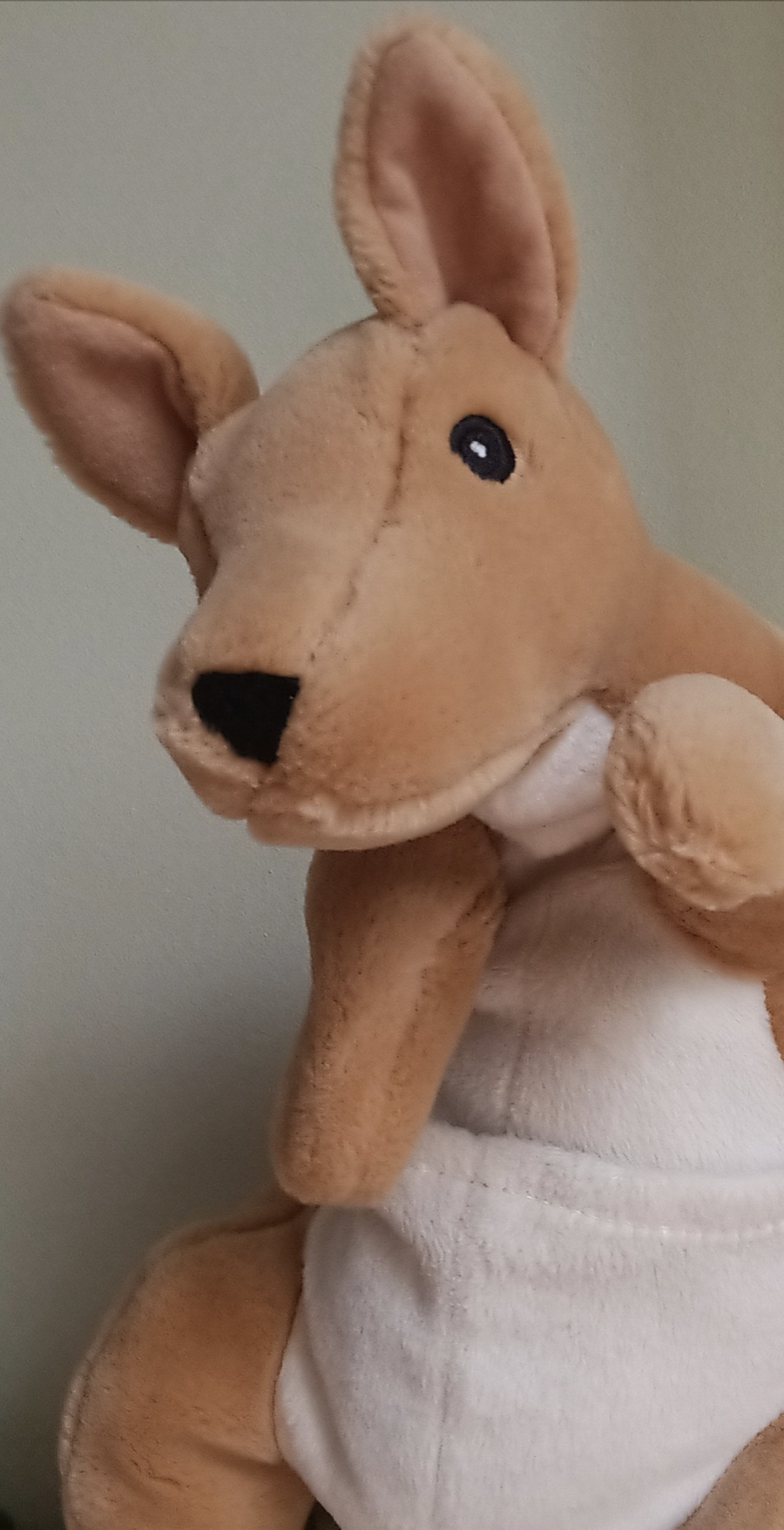 St Mary’s Teddy Bear Bunch – St Mary's Church Broughton Astley. St ...